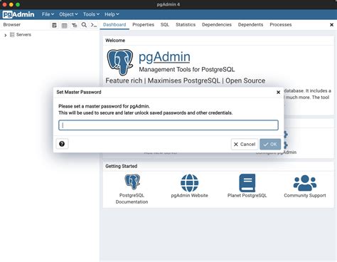Pgadmin Macos マスターパスワードを無効にする Keruuweb