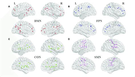 Functional Nodes Investigated Medial And Lateral Views Of Brain