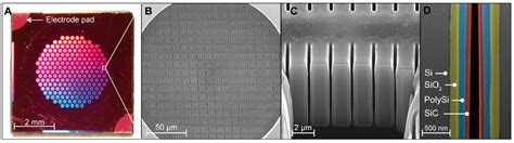 Silicon Carbide Gated Nanofluidic Membrane For Active Control Of Electrokinetic Ionic Transport