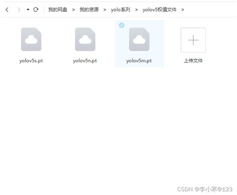 yolov5权值文件 yolov5权重文件 csdn博客