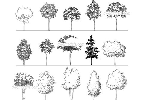 Trees Side View DWG AutoCAD Blocks 2D Vegetation Models 41 OFF