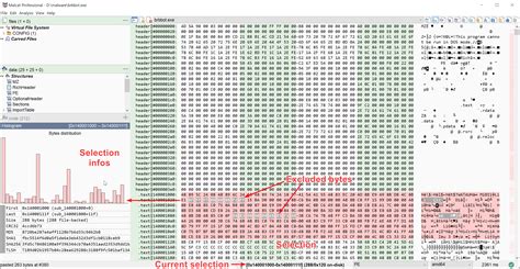 Hexadecimal View — Malcat 09 Documentation