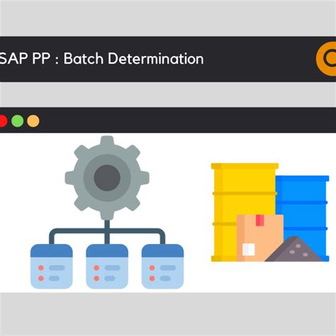 Beginners Guide To Batch Management In Sap Sap Training And Coaching