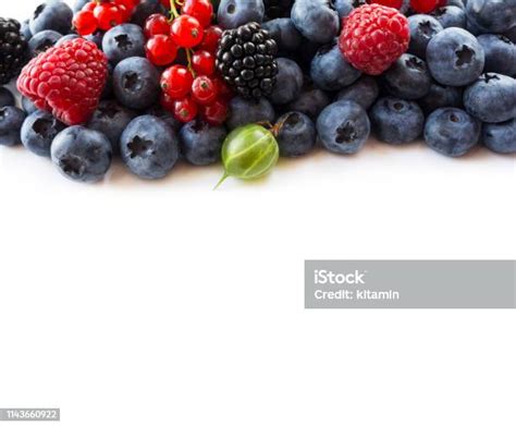 흰색 배경에 딸기를 섞는다 잘 익은 블루베리 붉은 건포도 백 베리 흰색 바탕에 나무 딸기와 라스베리 평면도 텍스트에 대 한 복사 공간 테두리에서 과일과 열매 블루검정과 붉은