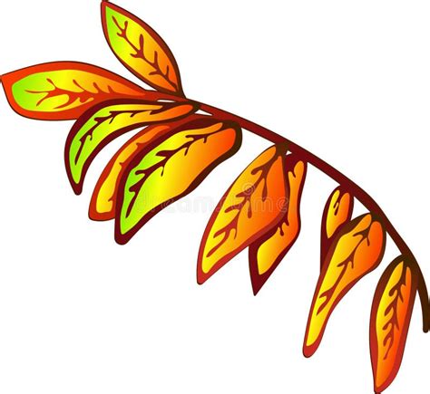 Vector Autumn Yellow Sorbus Leaves Isolated Illustration Element