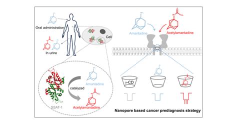 Determination Of Acetylamantadine By γ Cyclodextrin Assisted α Hl Nanopore For Potential Cancer