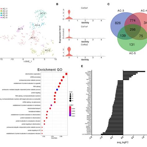 T Sne Clustering Analysis Of The Single Cell Rna Sequencing Download Scientific Diagram