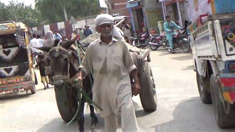 جلال پور شریف ۔جہلم Youtube