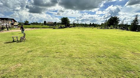 ณ หัสดิน ของสะสม Hassadin ณ หัสดิน ของสะสม Hassadin