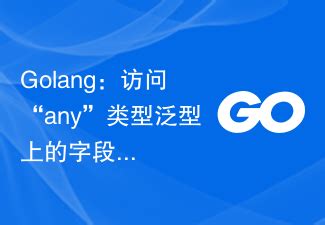 Golang Access Fields On Any Type Generic Golang Php Cn