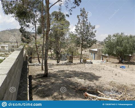 travelling around eritrea in summer days stock image image of