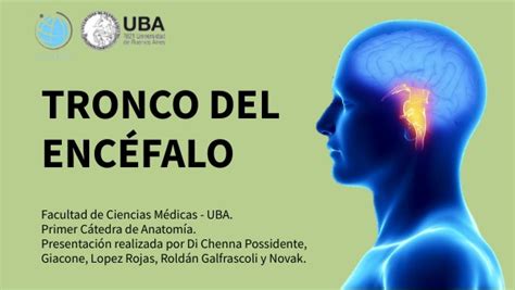 Tronco Del EncÉfalo