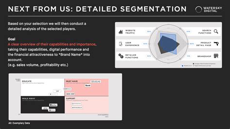 Ecommerce Segmentation Data Driven Ecom Strategy Watersky