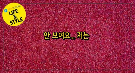 무려 의 사람들이 보지 못한다는 장의 그림 속 숫자