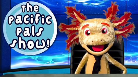 The Pacific Pals Show Seasons 1 And 2 The Pacific Pals Youtube