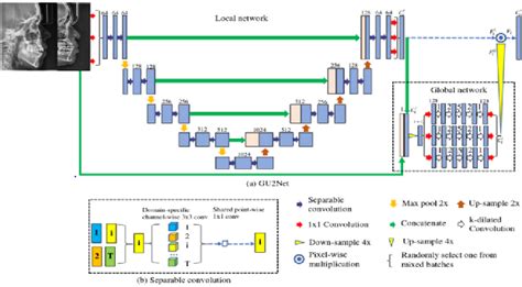 Figure 2 From General Cephalometric Landmark Detection For Different