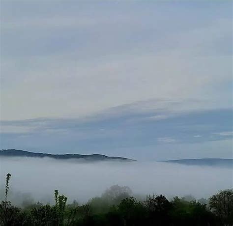 კაკაბეთის საჯარო სკოლა პროფესიული ორიენტაცია