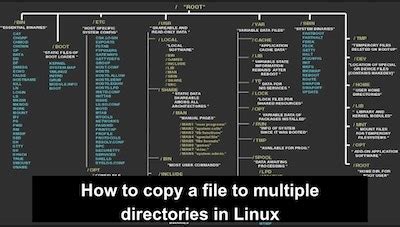 How To Copy A File To Multiple Directories In Linux
