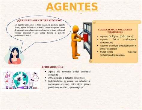 Agentes Teratogénicos ¿qué Son Los Teratógenos Todopapás Hysk