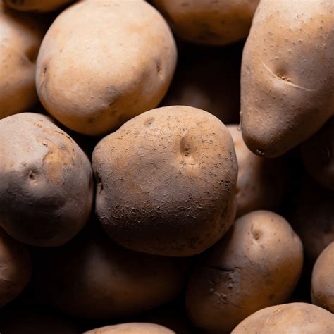 Inta Sows The First Potatoes That Do Not Oxidize Soledits