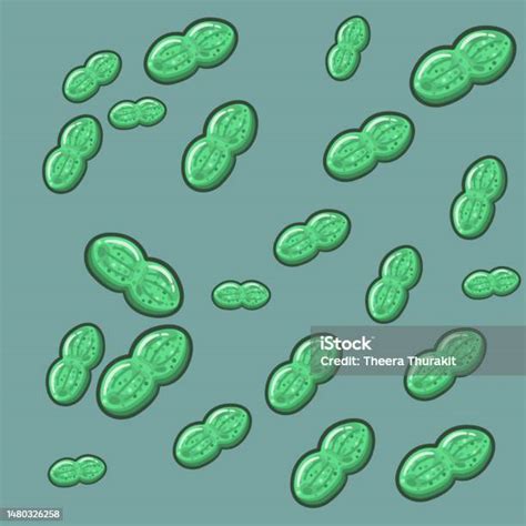 Synechococcus Stock Illustration Download Image Now Agriculture Biology Carbon Capture