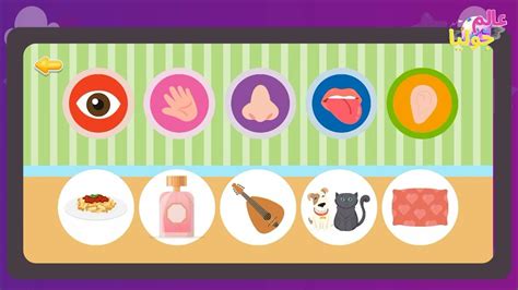 الحواس الخمسة للأطفال بطريقة مسلية Youtube