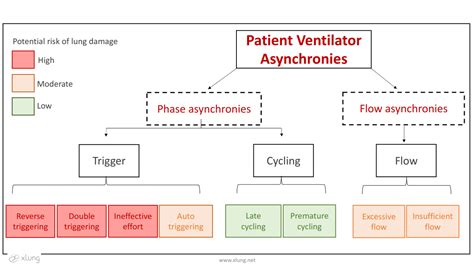 Assincronia Paciente Ventilador Mecânico