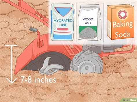 How To Adjust Soil PH Raising Lowering PH Levels