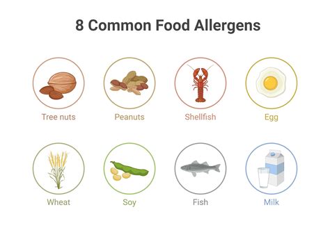 8 Common Food Allergens Biorender Science Templates