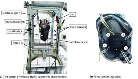 Test Setup For Experimental Analysis Of The Prosthesis Socket Download Scientific Diagram Test Setup For Experimental Analysis Of The Prosthesis Socket Download Scientific Diagram