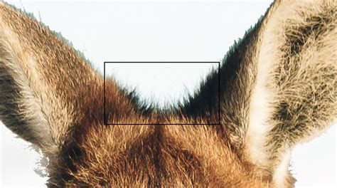 How To Smooth Edges In Photoshop After Making A Selection