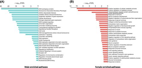 Transcriptome And Secretome Profiling Of Sensory Neurons Reveals Sex