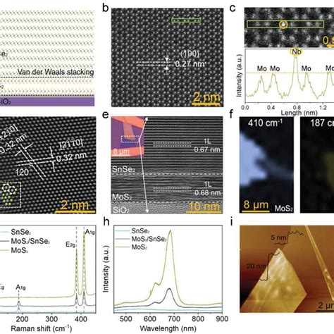A Schematic Diagram Of The Photodetector Based On Doped Mos2 Snse2 Download Scientific Diagram