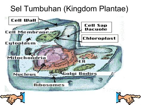 Kajian Pustaka Panduan Lengkap Mahasiswa Landasan Teori