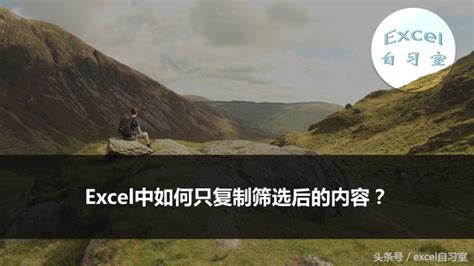 只复制筛选出来的单元格的方法excel如何只复制筛选后的内容 天天办公网