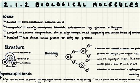 Ocr A Biological Molecules Revision Notes Teaching Resources