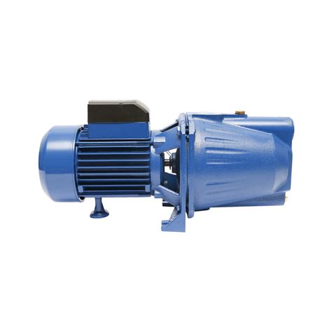 Elettropompa Periferica Pompa Dacqua Di Superficie 750w Portata 53