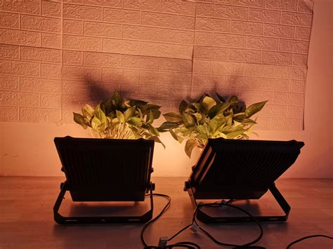 DMX RGBCCT LED FLOOD 50W 100W 150W Babe Shield Limited