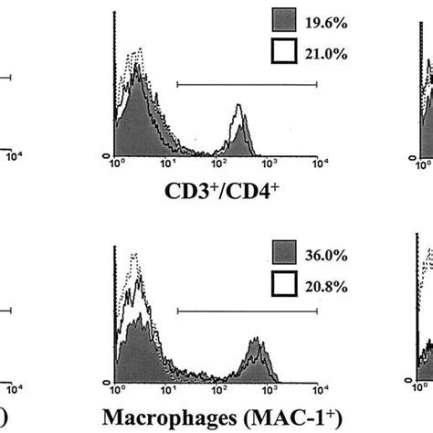 Phenotypic Characterization Of The Splenocytes Obtained From Aortic