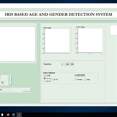 Interface Of The Detection System During The Implementation Stage