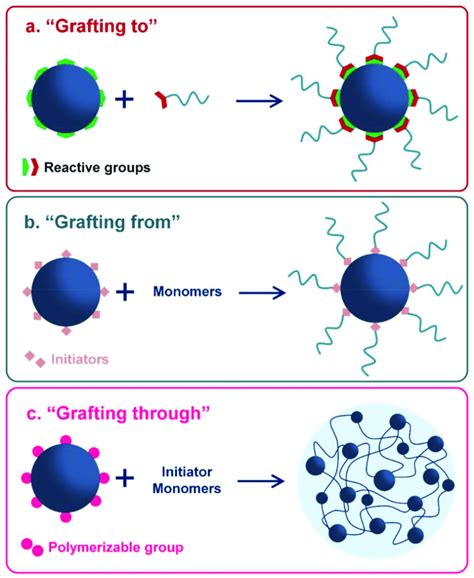What Is Mah Grafting Technology And How Does It Work Coace Plastic Auxiliary Agent Polymer