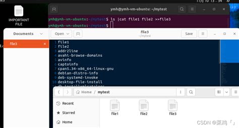 Linux操作系统文件与目录管理及编辑器使用 Csdn博客