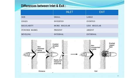 Msciiiforensic Anthropologytrauma Analysispptx