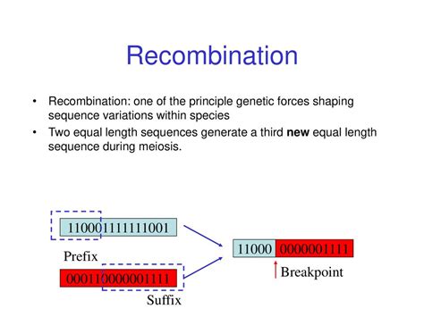 Recombinatorics The Algorithmics And Combinatorics Of Phylogenetic
