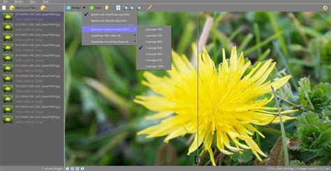 Focusfusion Focus Stacking And Merging Delphitools