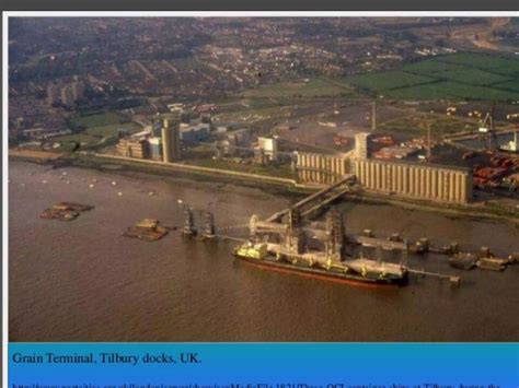 Port And Terminal Operations Management Ppt Ppt Cruises Travel Type