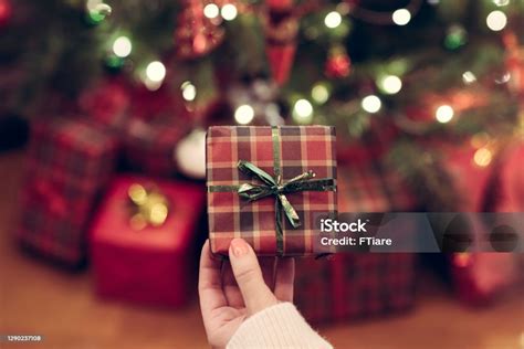 크리스마스 트리 아래에 선물 상자를 넣어 여자 가족을 위한 선물 아래에 대한 스톡 사진 및 기타 이미지 아래 나무 선물