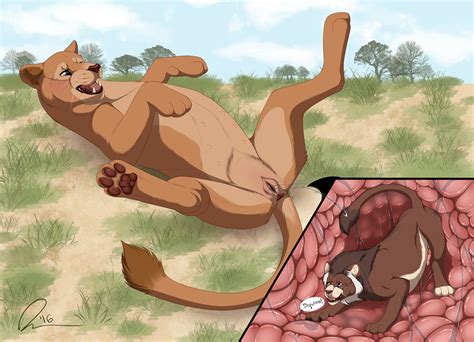 Rule 34 2016 Anatomically Correct Disney Feline Female Feral Fur Highres Ikenna Lion Macro
