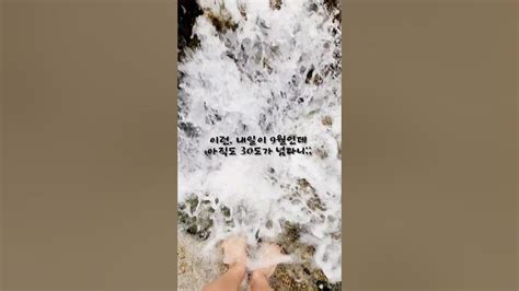 여름의 폭염속에 단련된 시간 잘 익은 나의 인내로 가을을 기다렸어요 가을편지1 이해인 Youtube