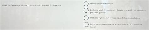 Solved Match The Following Epidermal Cell Type With Its